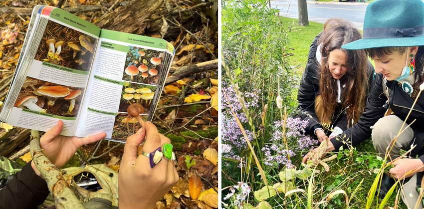 Urban Foraging Course - Cultivaction