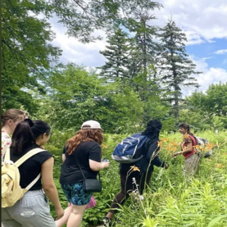 Urban Foraging Course - Cultivaction
